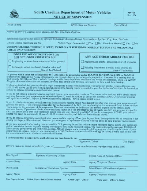 DUI Laws SC · [The Complete Guide]